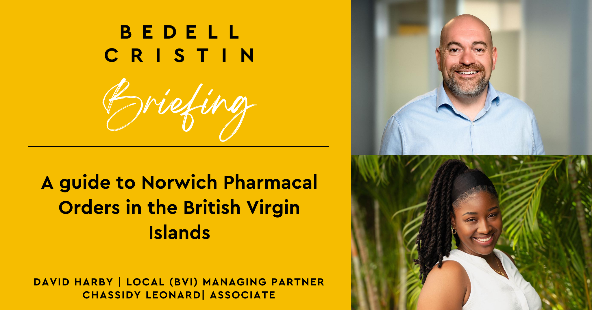 A guide to applying for Norwich Pharmacal Orders in the British Virgin ...